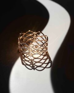 Wren - Richard Foster