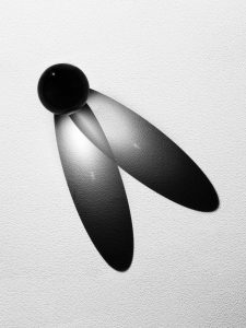 Wren - Richard Foster