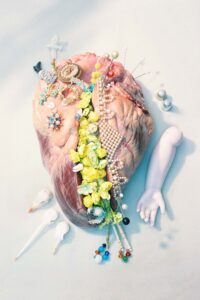 Wren - Felicity McCabe