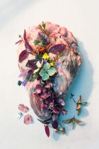 Wren - Felicity McCabe