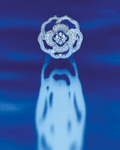 Wren - Richard Foster