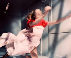 Wren - VINCENT PETERS