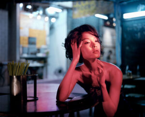 Wren - VINCENT PETERS