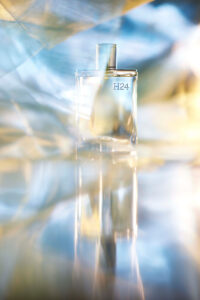 Wren - Richard Foster