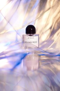 Wren - Richard Foster