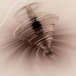 Wren - Richard Foster