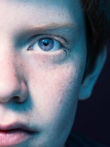 Wren - Felicity McCabe